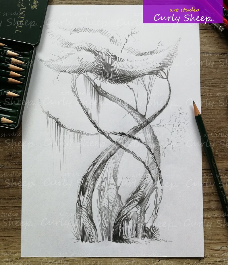 Tree Pencil Drawing A4, Tropical Tree Drawing, Pencil Sketch, Tree ...