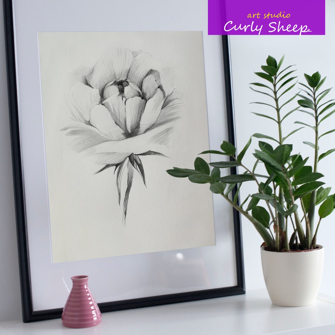 Flower Pencil Drawing A4 Peony Drawing Flowers Pencil - Etsy