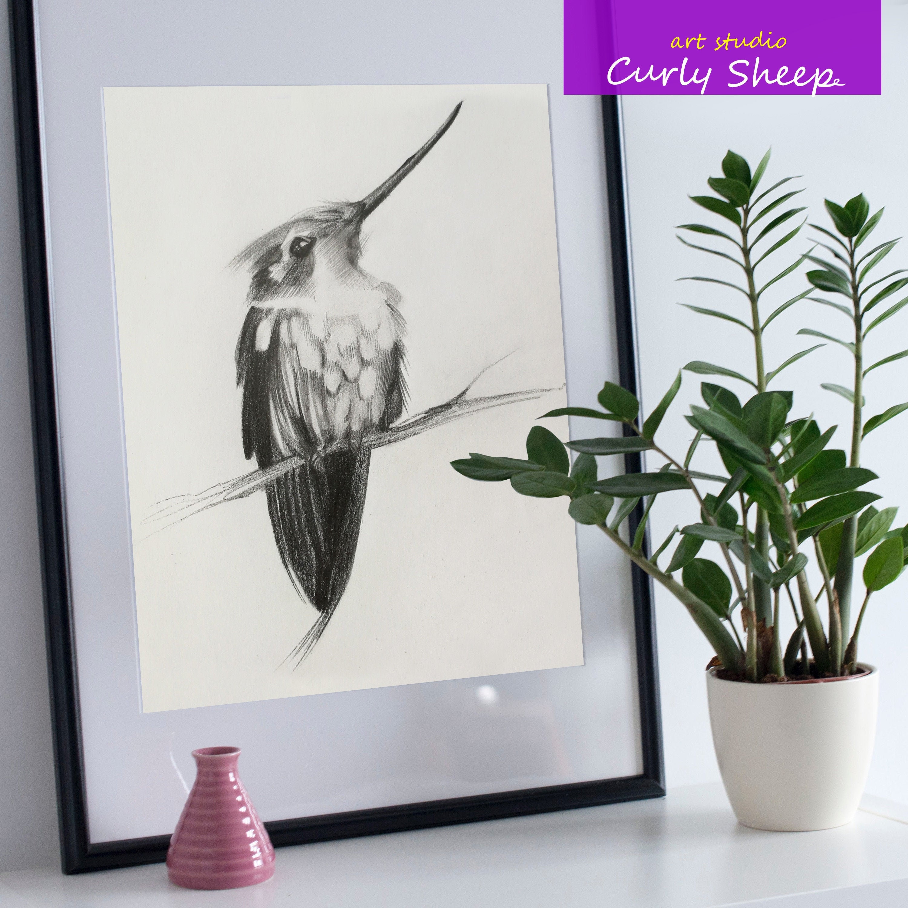 Croquis Au Crayon De Colibris