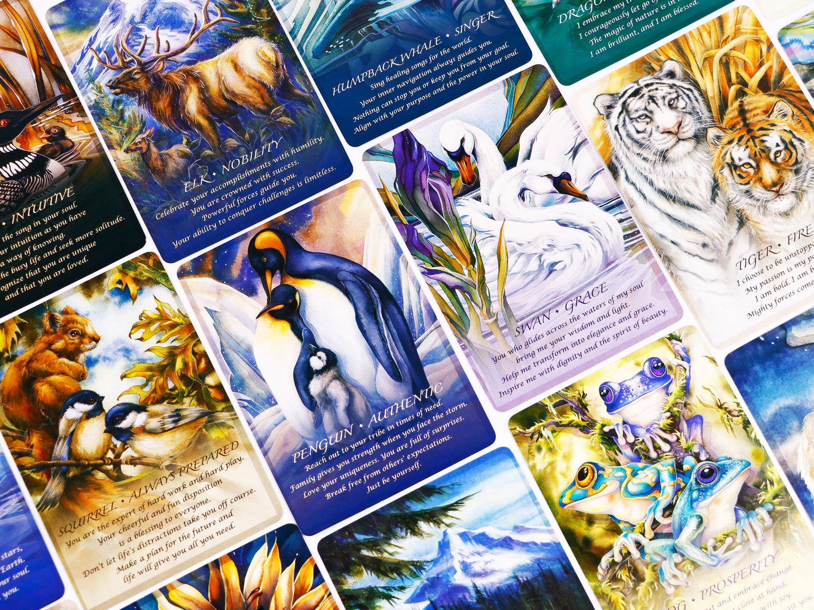 Spirit of the Animal Oracle Deck With Instructions Booklet for - Etsy