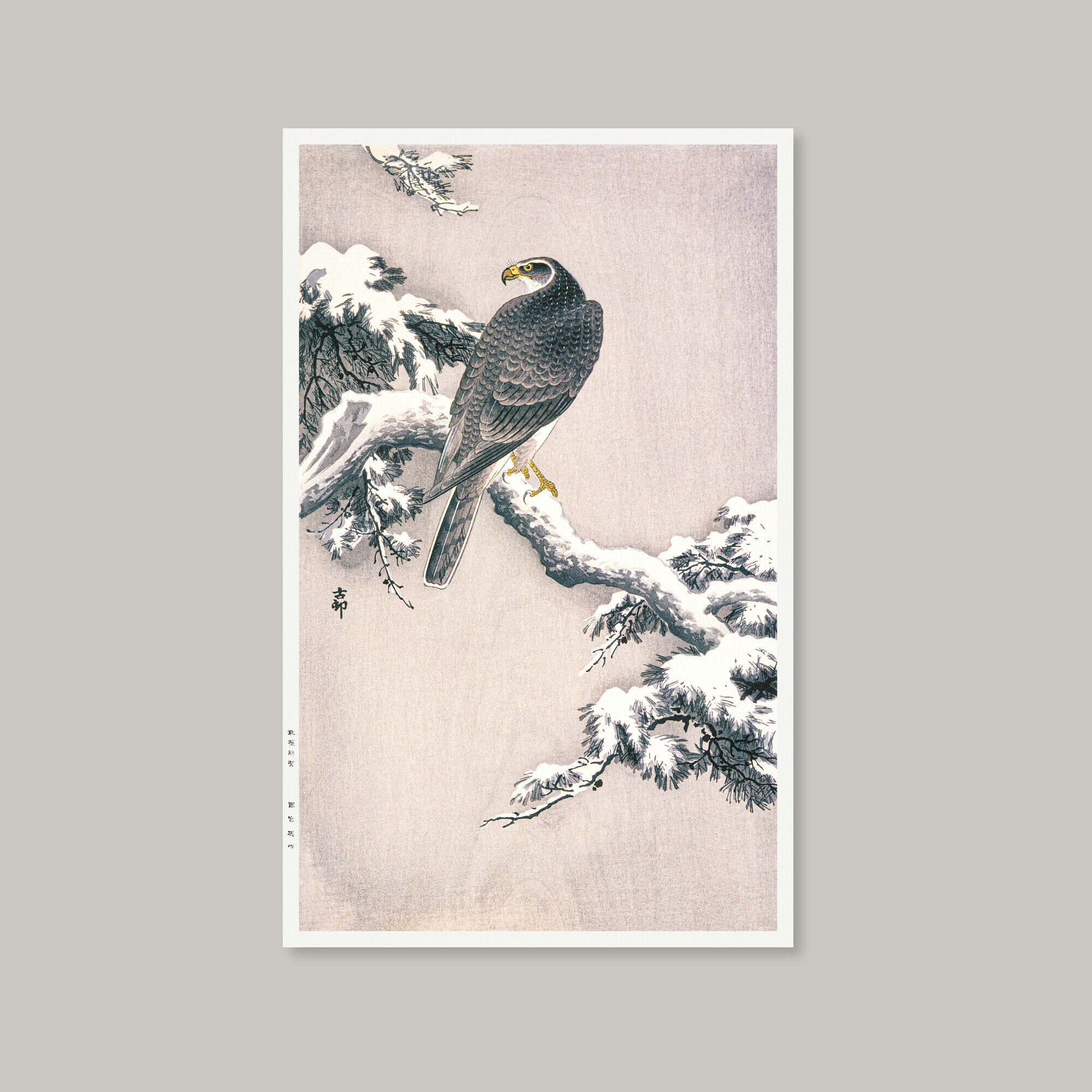 Vintage Hawk Print - Etsy