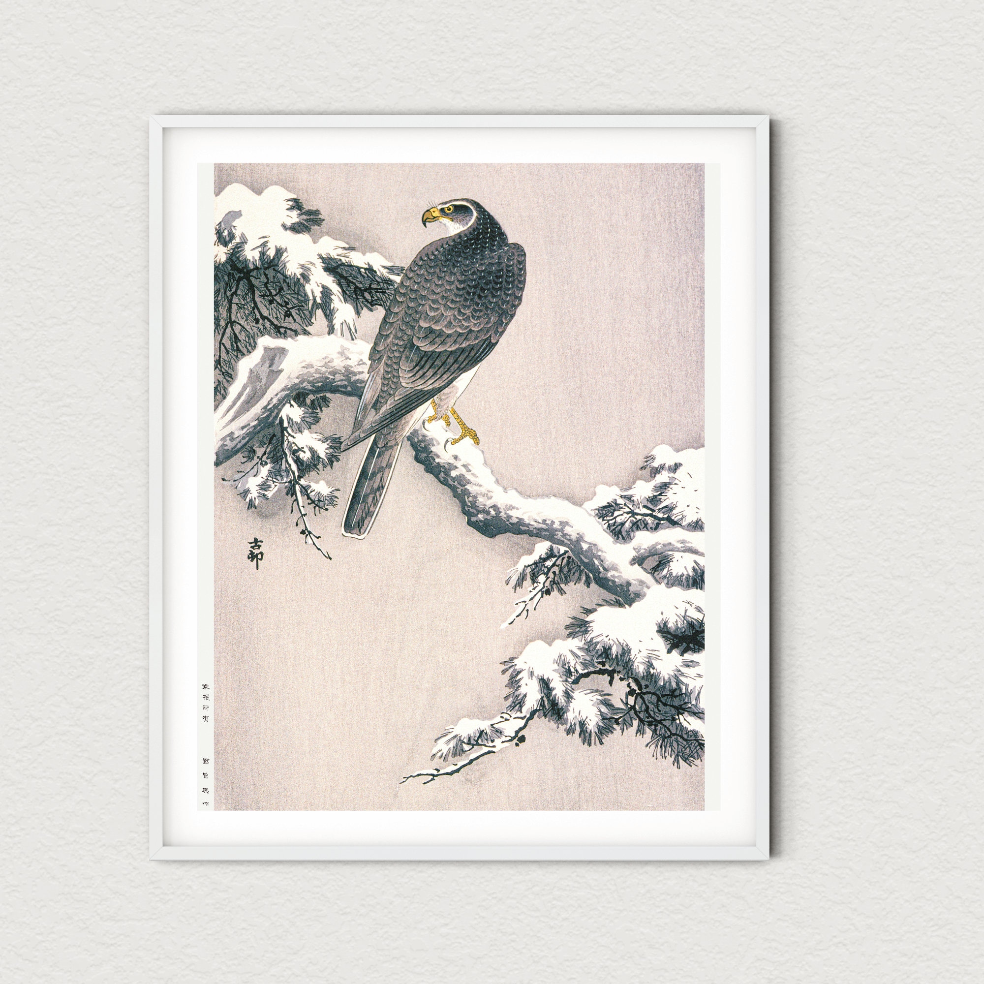 Vintage Hawk Print - Etsy