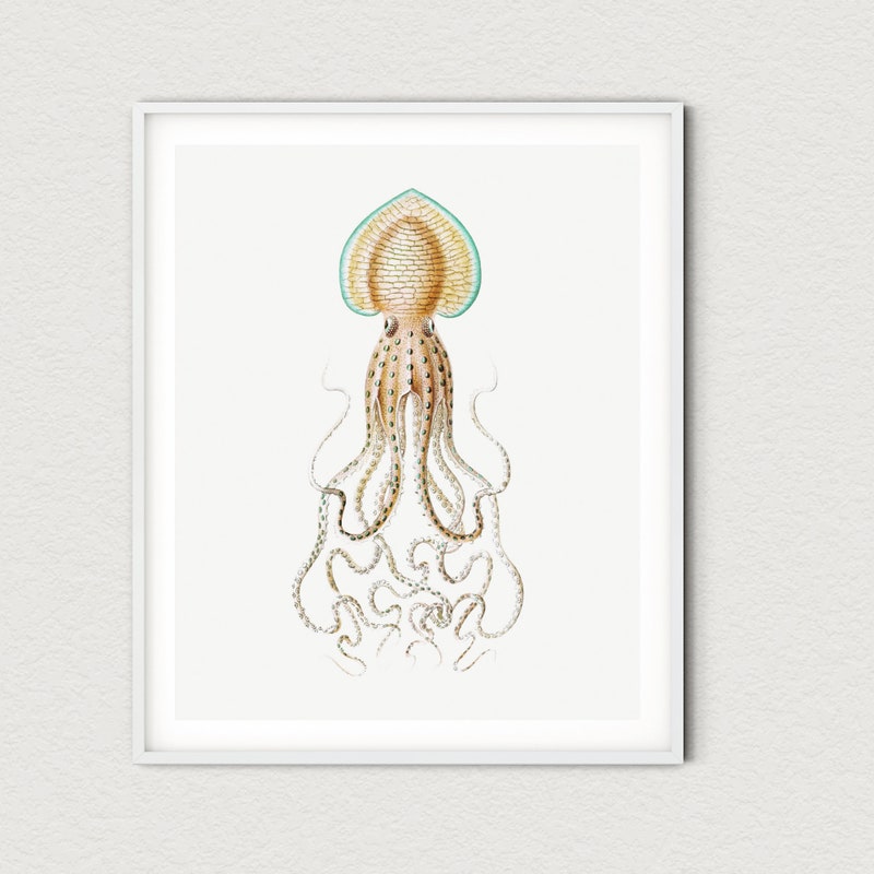 Squid Art - Etsy