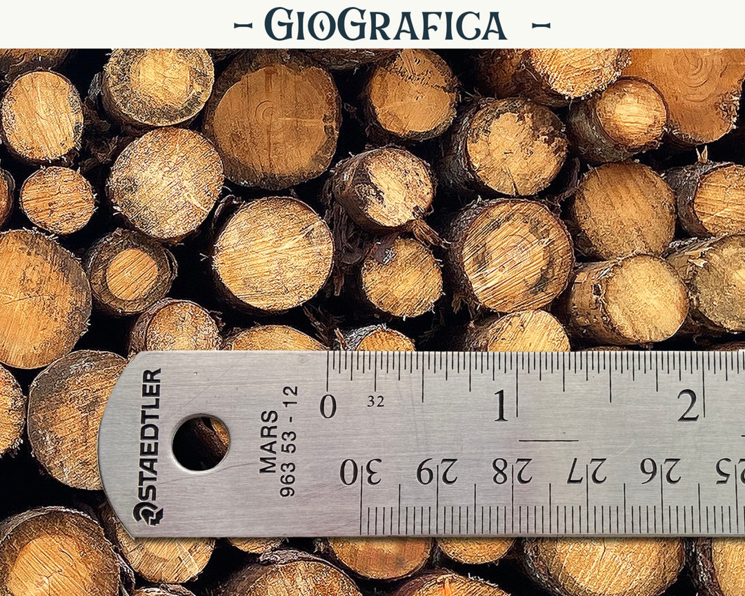 Timber Stack Wallpaper, Sawn Trees, Stacked Logs, Dollhouse Printable ...