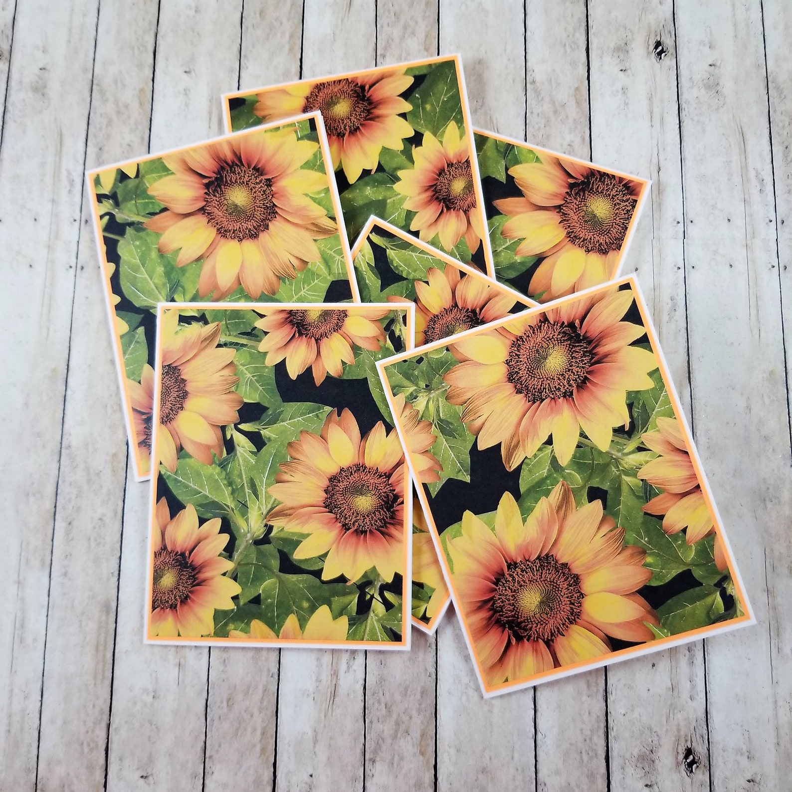 Sunflower Note Card set Floral Note cards Any occasion | Etsy