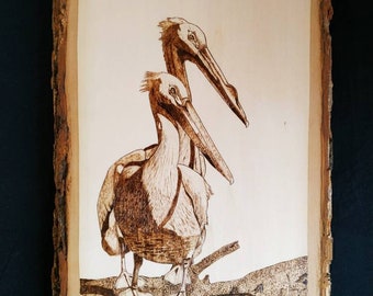 Display Pelican - Etsy