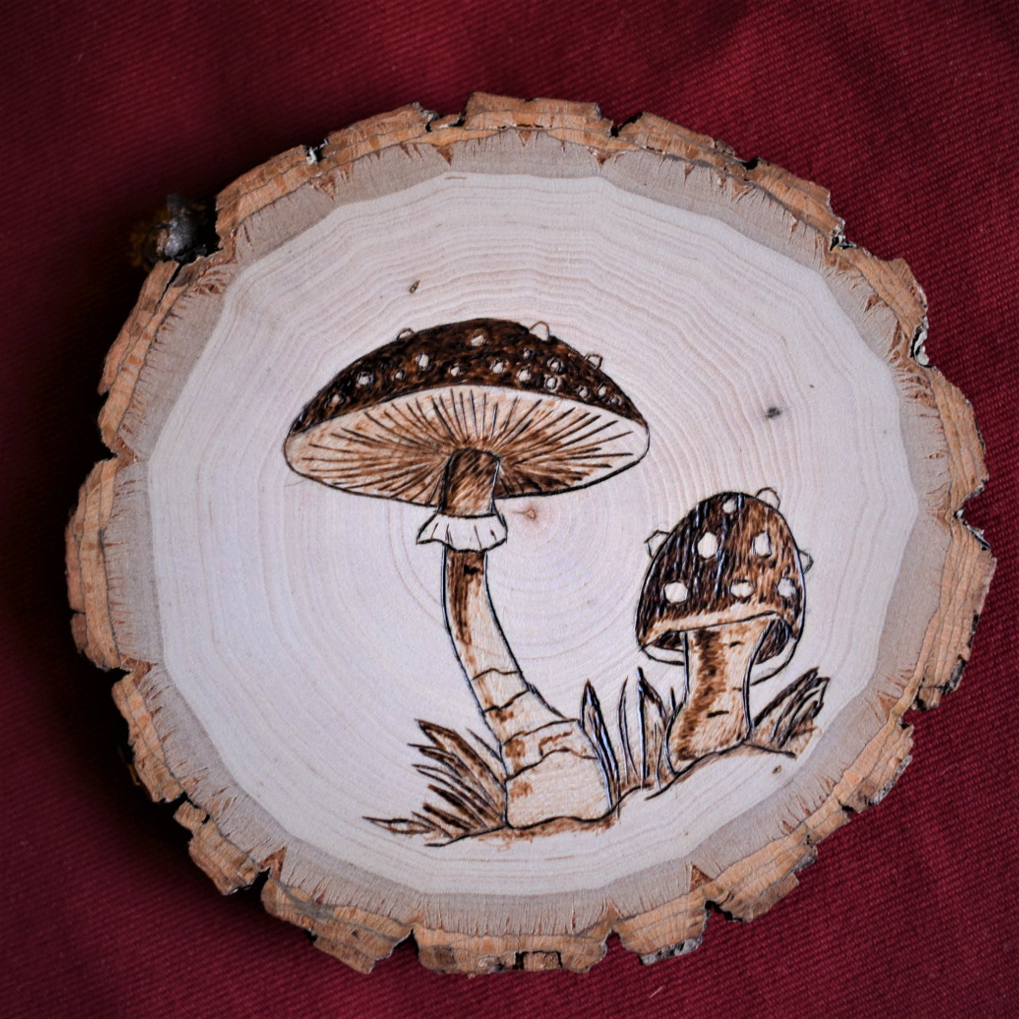 Wood Burned Mushroom Coaster, Mushroom Artwork, Pyrography Artwork - Etsy