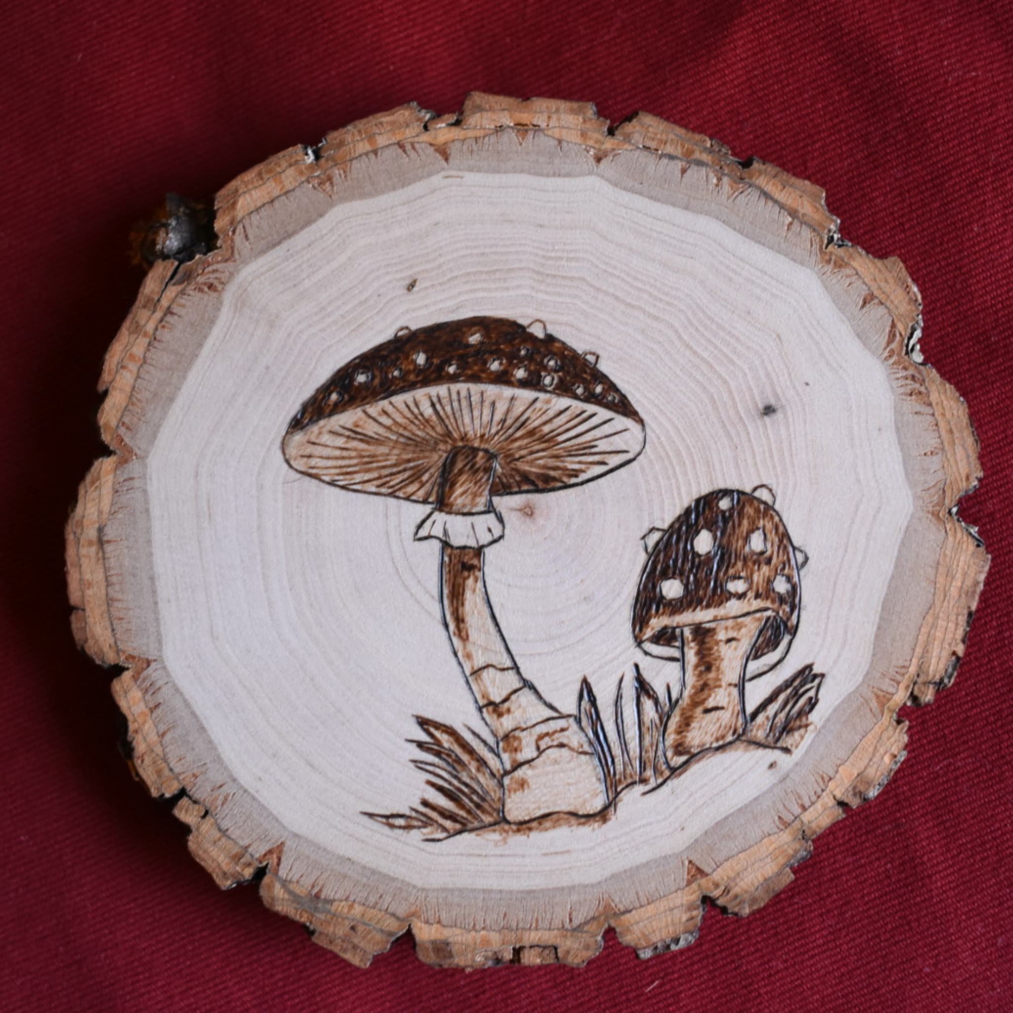 Wood Burned Mushroom Coaster, Mushroom Artwork, Pyrography Artwork - Etsy