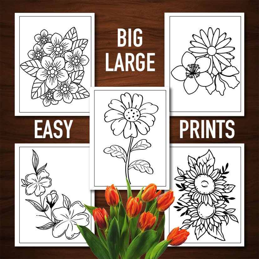 100 EASY FLOWERS Coloring Book for Beginners - 100 Large Prints ...
