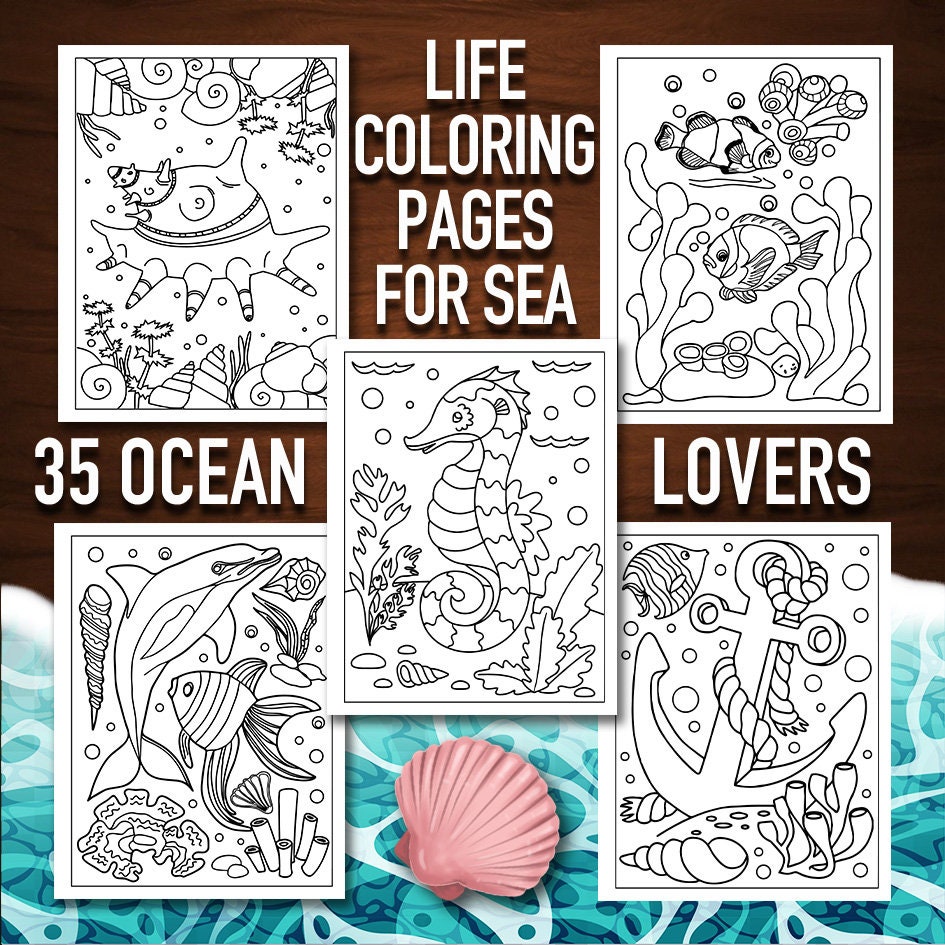 Into the Ocean Coloring Book: 35 Sea Life Illustrations Large - Etsy