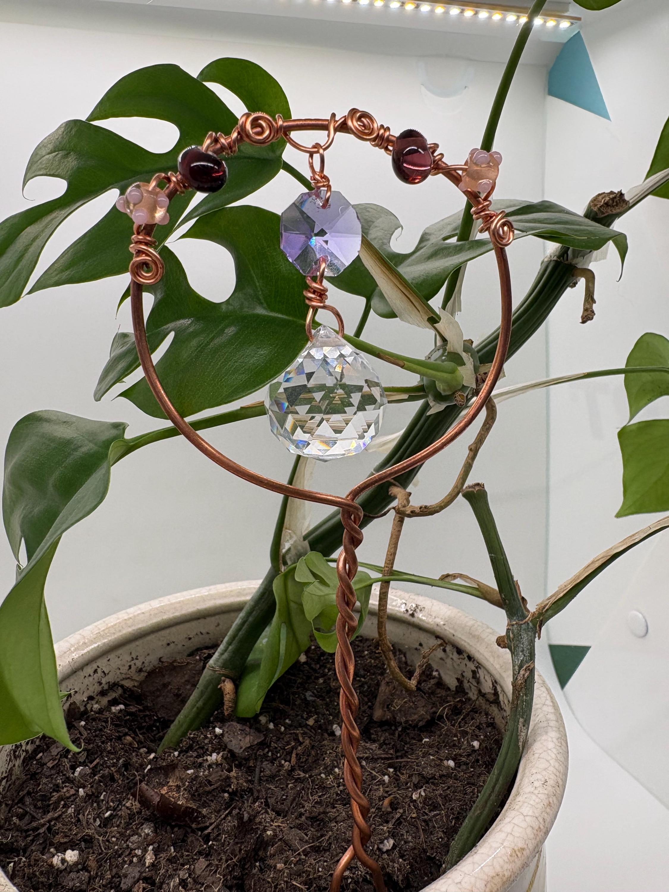 Copper Plant Steak, Plant Suncatcher, Crystal Plant Steak, Houseplant ...