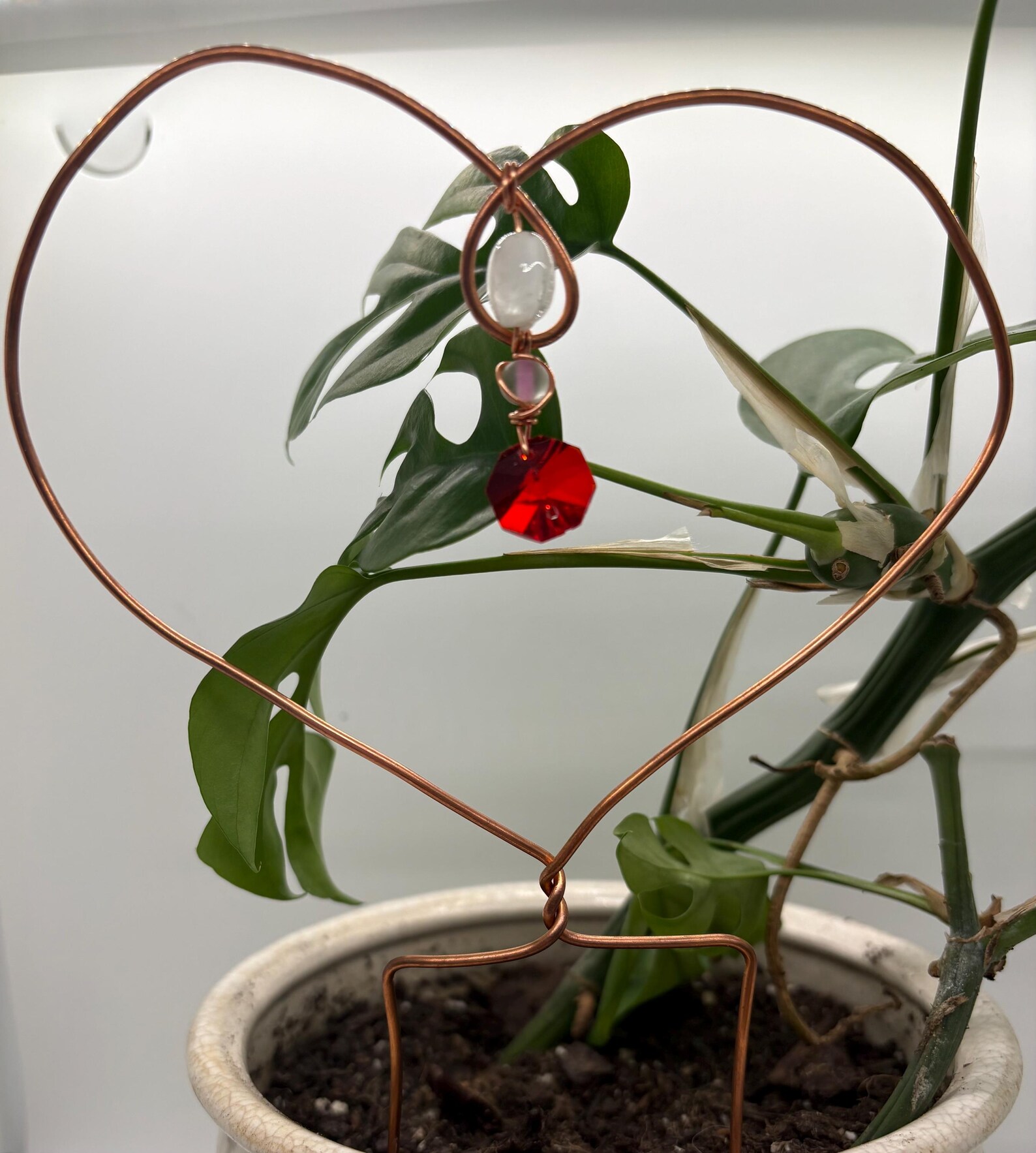 Copper Plant Steak, Plant Suncatcher, Crystal Plant Steak, Houseplant ...