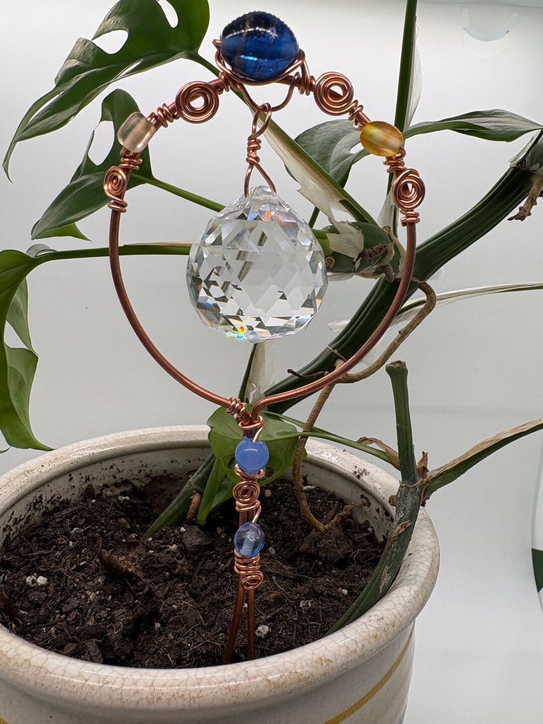 Copper Plant Steak, Plant Suncatcher, Crystal Plant Steak, Houseplant ...