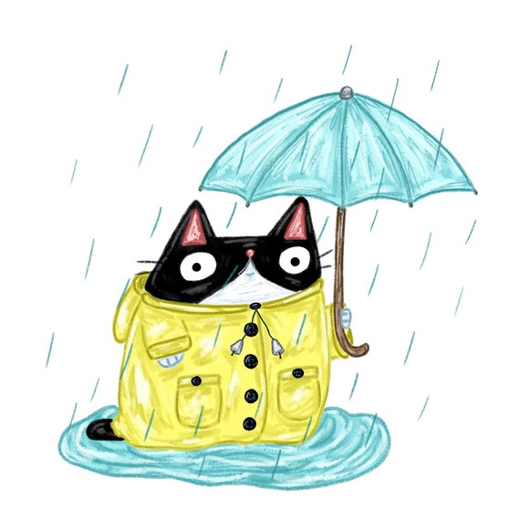 Funny Cat Rain