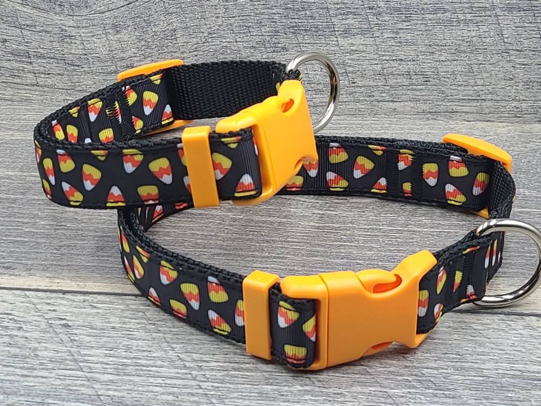Halloween Candy Corn Dog Collar - Etsy