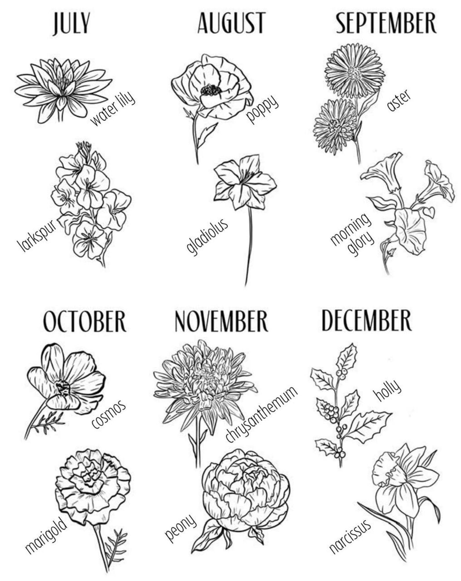 Birth Month Bouquet Digital Drawing - Etsy