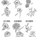 Birth Month Bouquet Digital Drawing - Etsy