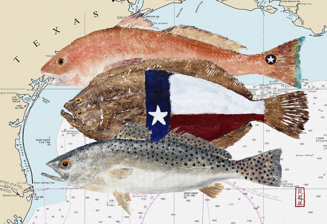 Texas Inshore Slam - Coastal Nautical Map - Gyotaku Fish Rubbings ...