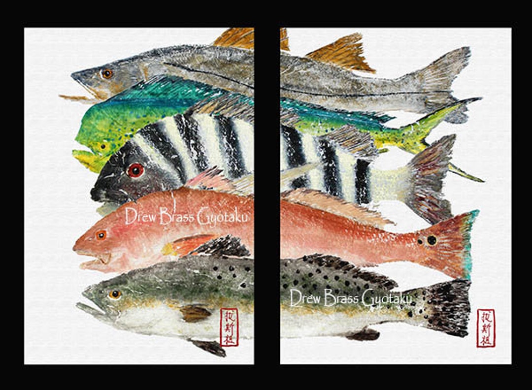 Heads & Tails Gyotaku Fish Rubbings 2 13x19 Archival Prints - Etsy