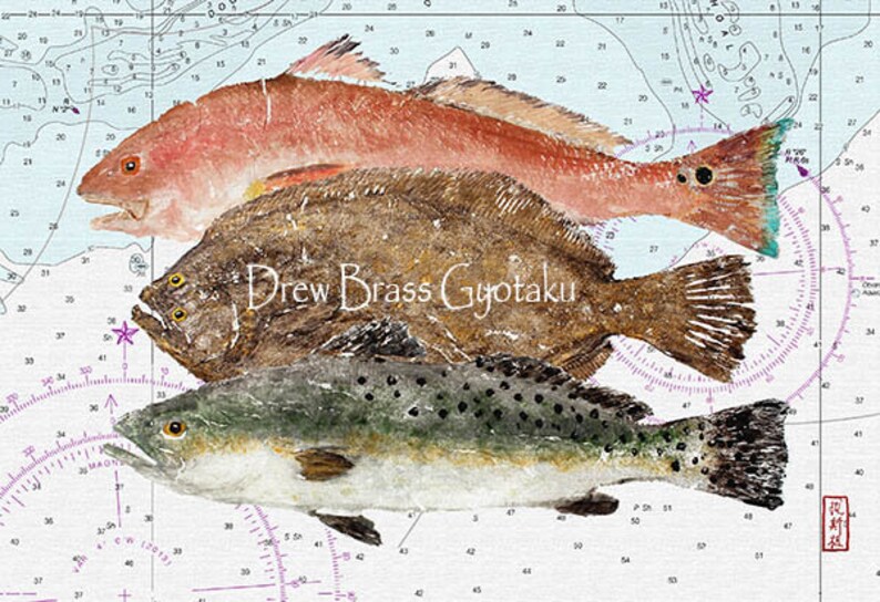 Inshore Grand Slam Nautical Map - Gyotaku Fish Rubbings - Digital Art ...