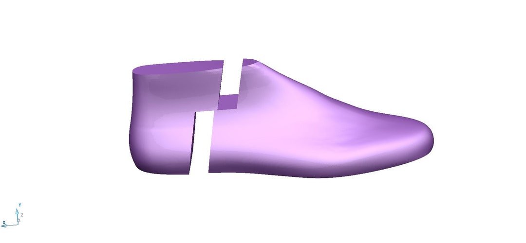 Digital 3d Model Athletic Brand Shoe Last Any Size Cut Shape - Etsy