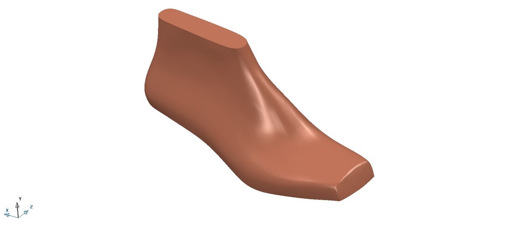 Digital 3d Model Square Wide Toe Women Shoe Last - Etsy