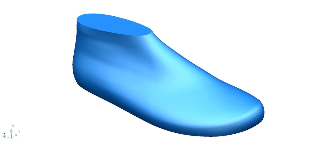 Digital 3d Model Shoe Last Flat Barefoot - Etsy