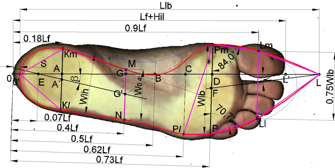 PDF Tutorial Last Bottom Template Modeling Guide How to Design Shoe ...