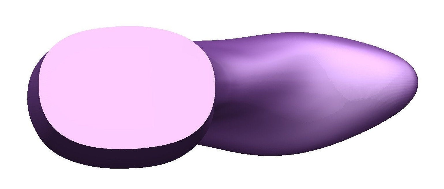 Digital 3d Model Boot-tree STL Riding Boots Shoe Last Design - Etsy