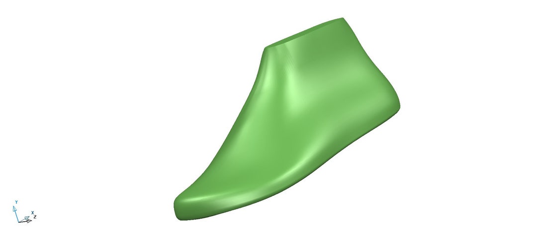 Digital 3d Model Barefoot Anatomic Shoe Last Size 41 - Etsy