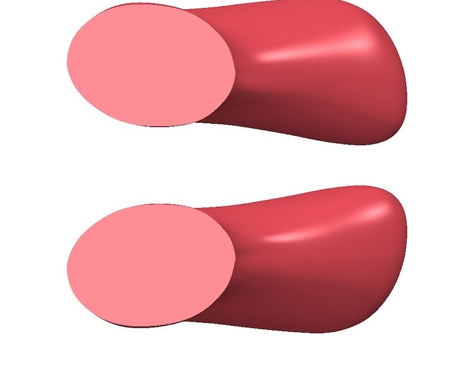 PDF Tutorial Last Bottom Template Modeling Guide How to Design Shoe Insole All Styles - Etsy