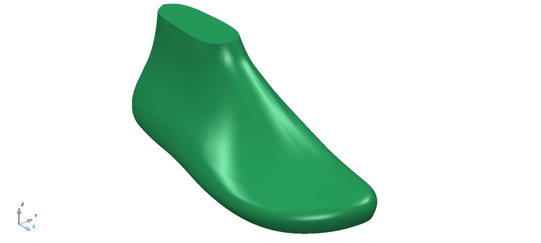 Digital 3d Model Ergonomic Shoe Last All Sizes - Etsy