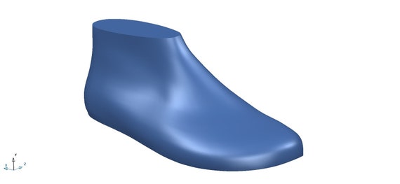 Digital 3d Model Unisex Shoe Last Comfort Ergonomic Barefoot | Etsy