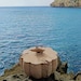 SOUL SEA Urn Biodegradable and Customizable for Burials in Water ...