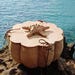 SOUL SEA Urn Biodegradable and Customizable for Burials in Water ...