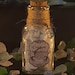 Crushed Moonstone Werewolf Potion Bottle Witch and Wizard Decor, Potion ...