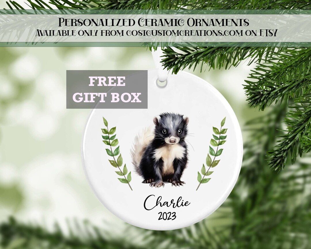 Cute Skunk Personalized Christmas Ornament Keepsake, Baby's First ...