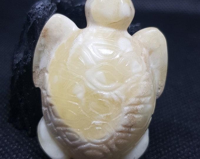 Turtle Amber Sea Turtle,9.9gram,baltic Amber,healing Stone - Etsy