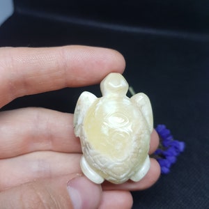 Turtle Amber Sea Turtle9.9grambaltic Amber | Etsy