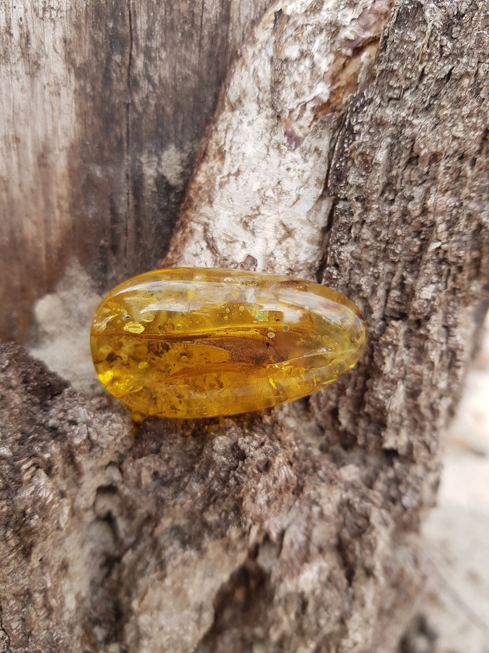 Diversity of Inclusions of Nature Air Water and Organic - Etsy