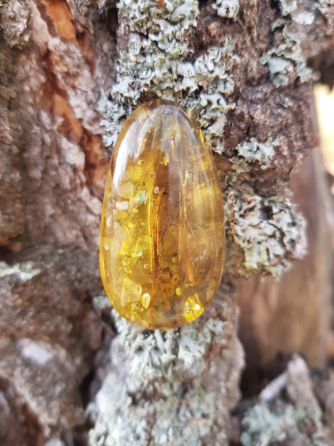 Diversity of Inclusions of Nature Air Water and Organic - Etsy