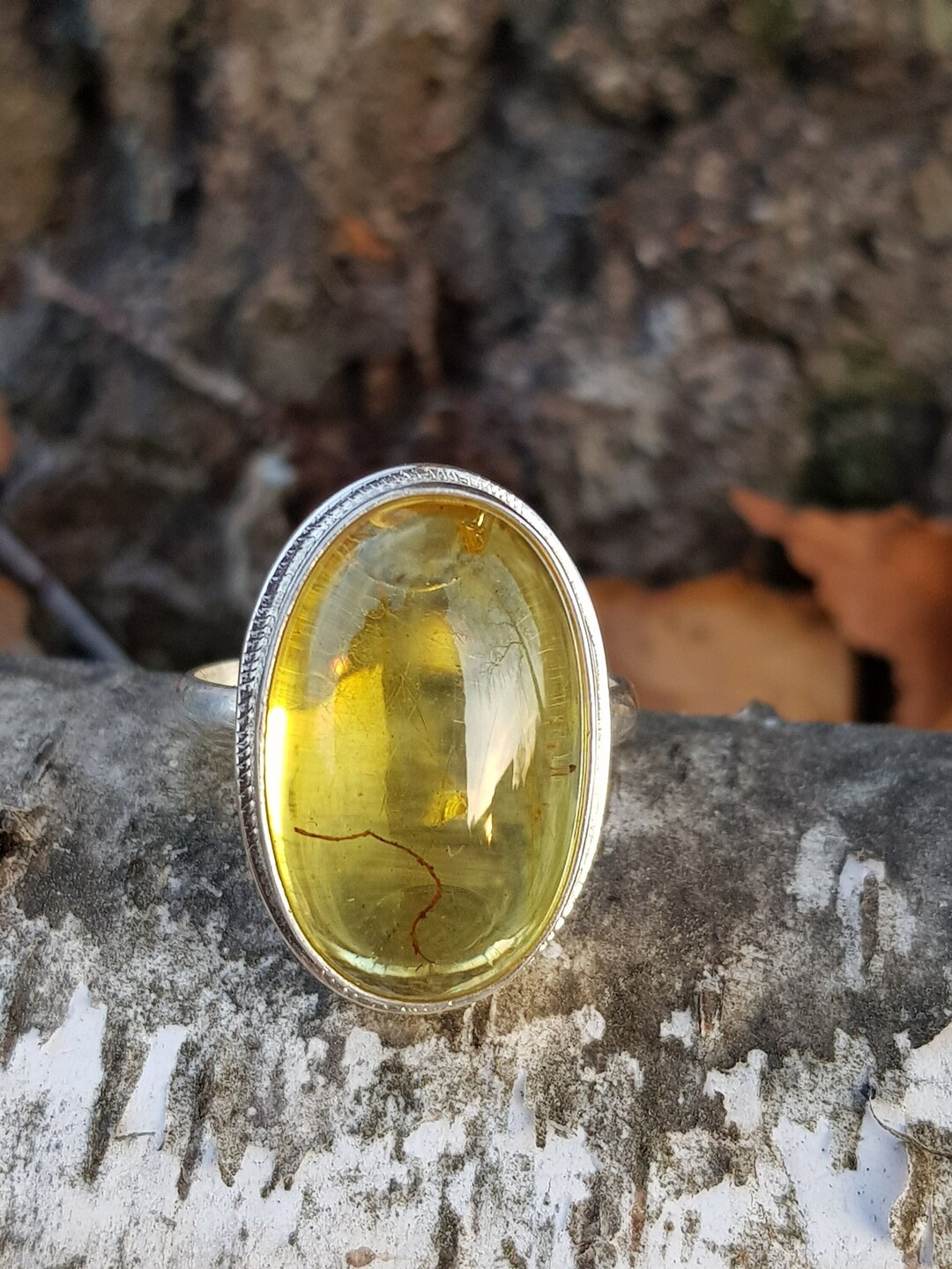 Silver 925 Ring With Baltic Transparent Amber, Inclusion in Amber ...
