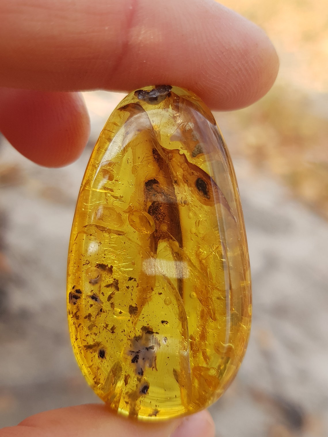 Diversity of Inclusions of Nature Air Water and Organic - Etsy