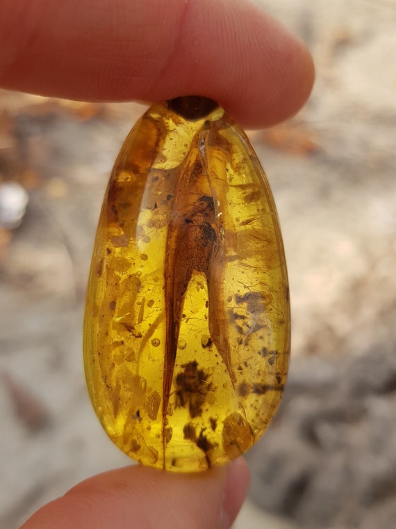 Diversity of Inclusions of Nature Air Water and Organic - Etsy