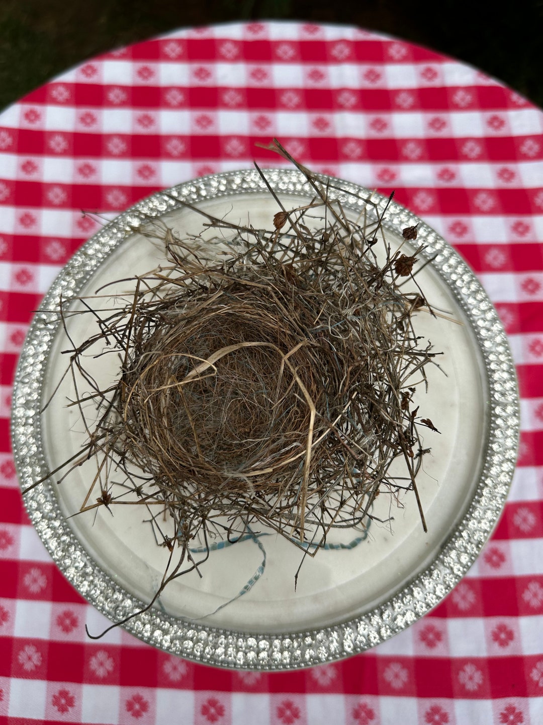 Small Birds Nest: Real Twigs, Grass, Dog Hair (3-4 Inches) - Etsy