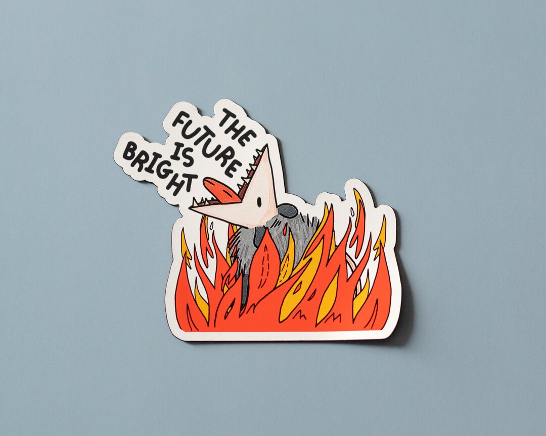 The Future is Bright Vinyl Sticker | Funny Possum in Fire Sticker ...
