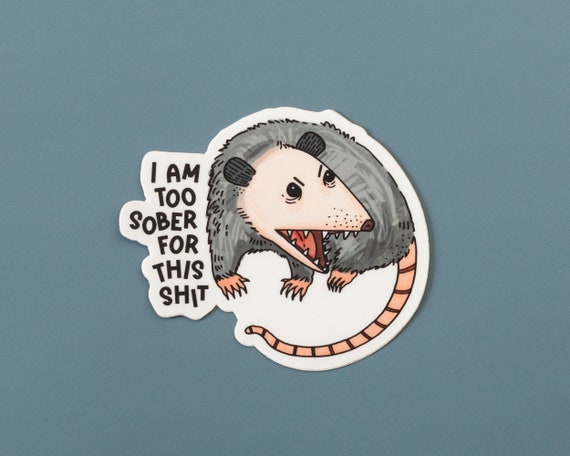 Funny Possum Sticker Opossum Vinyl Sticker Cool Saying - Etsy