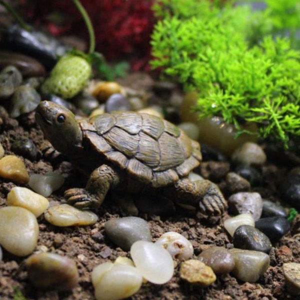 Garden Turtle - Etsy