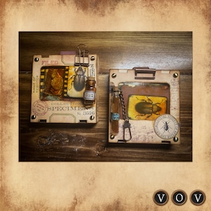 Specimen Slide Box, Mini Ephemera Storage, Printable Boxes, Specimen ...