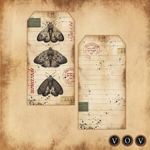 Entomology Tag Set, Vintage Tags, Tag Set, Set of 6 Insect Tags 2.5x5 ...